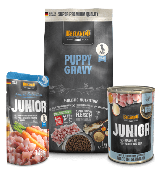 Kennenlernpaket BELCANDO® Puppy Gravy