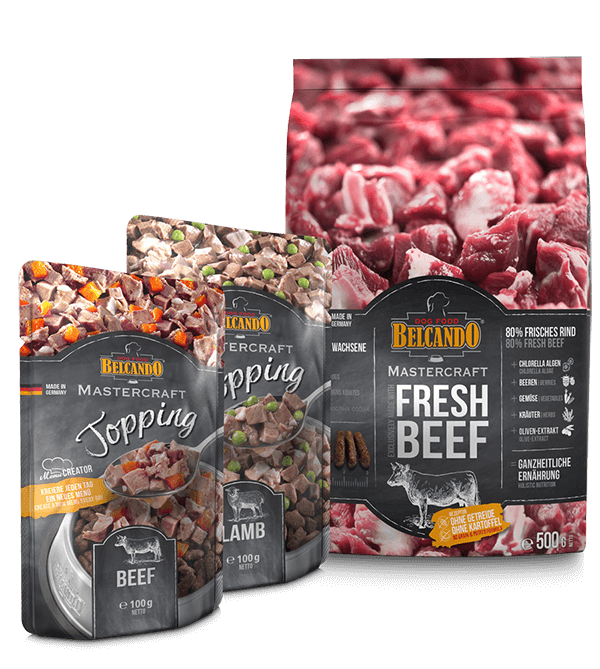 BELCANDO® MASTERCRAFT Dog Box FRESH BEEF | 545225